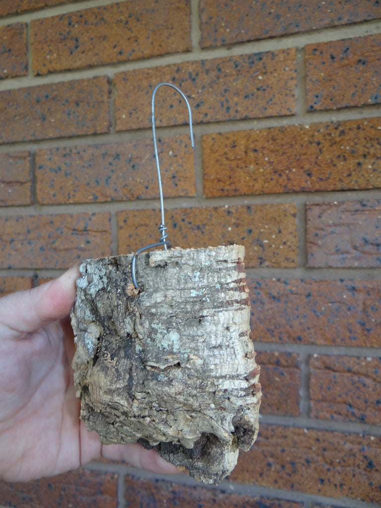 Small size cork mount (9cm x 9cm) with hanger – Kingfisher Orchid Nursery